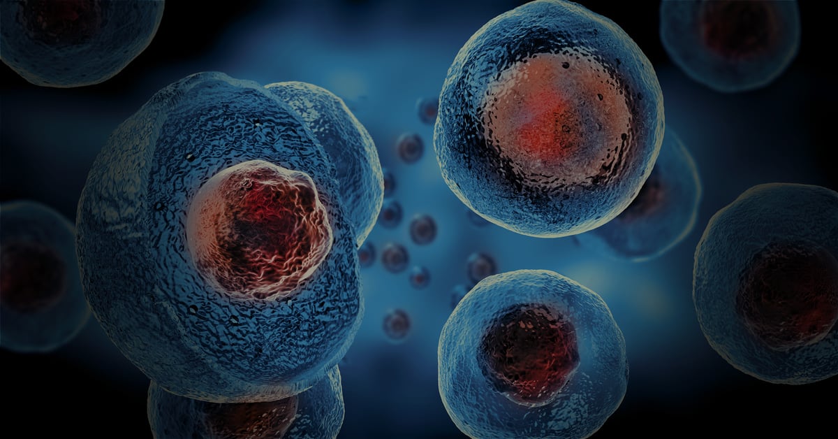 Human Origins – Part 1: Theological Conclusions and Empirical ...