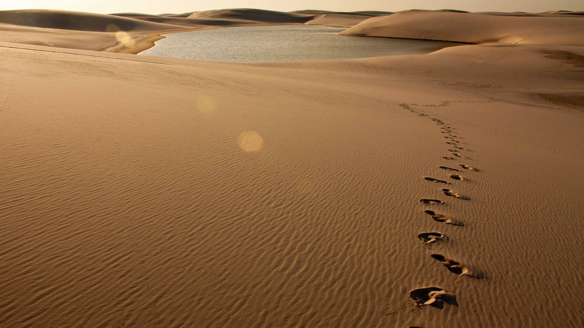 Yaqeen Institute for Islamic Research