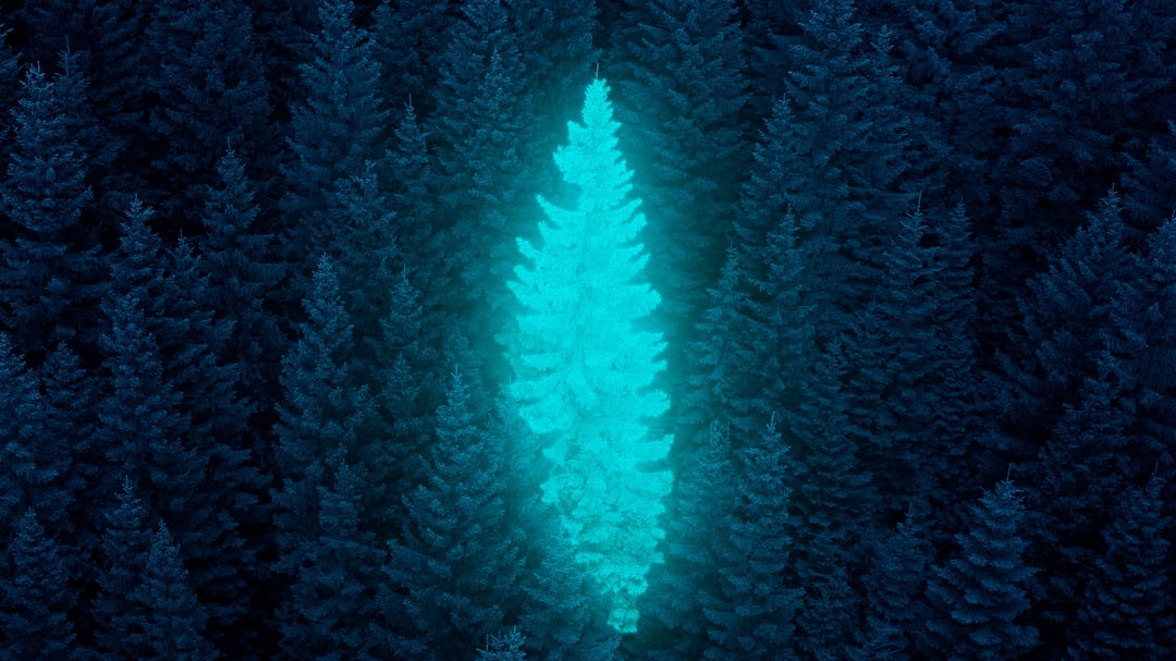 The Guiding Principles of Faith: Sincerity, Honesty, and Good Will in ...