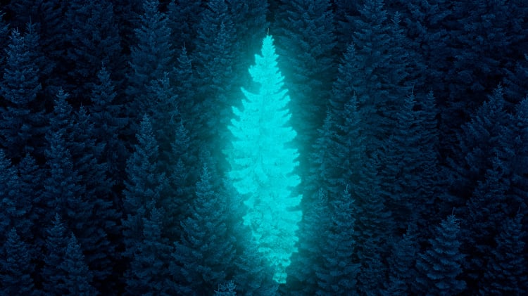 Light Upon Light | Yaqeen Institute for Islamic Research