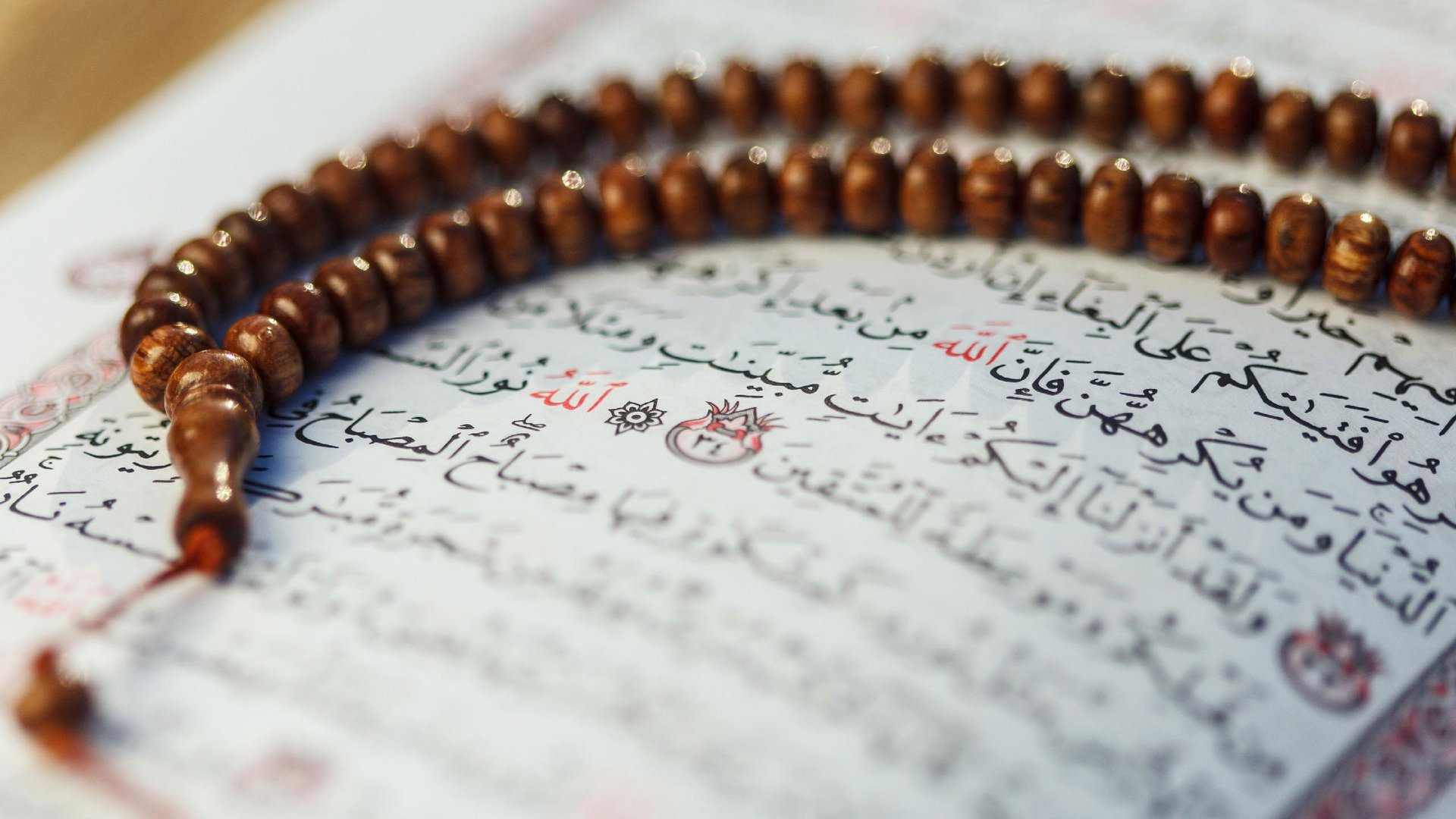 Archived Papers | Yaqeen Institute for Islamic Research