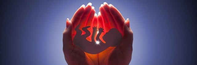 Islam and the Abortion Debate | Yaqeen Institute for Islamic Research